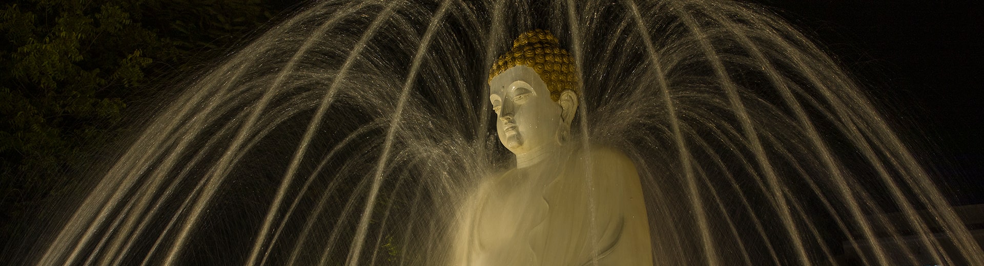 Contact Nimba Nature Cure for Best Naturopathic Treatments