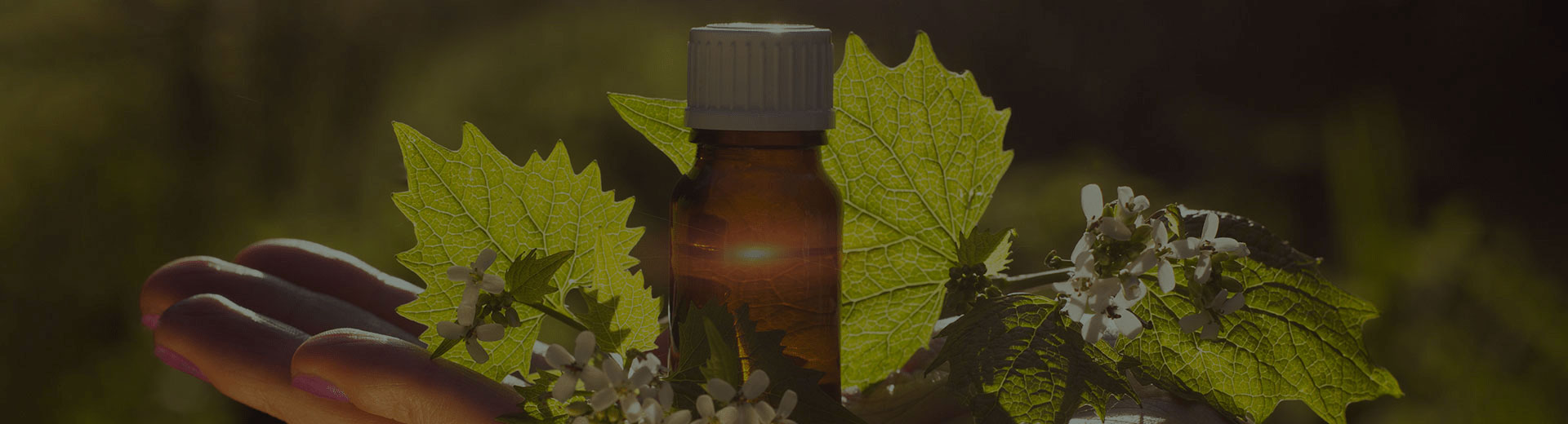 Naturopathy Treatment For Asthma | Nimba Naturopathy