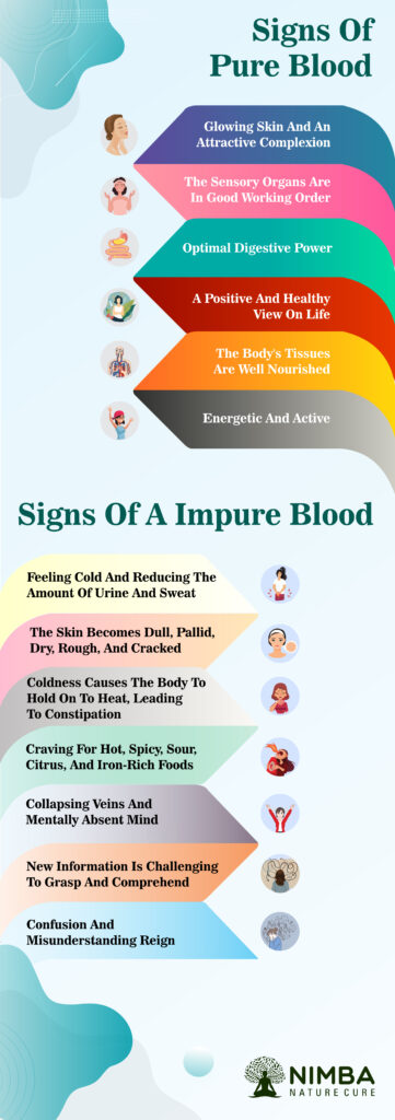 How to Purify Blood Naturally | Blood Purifier in Human Body | Nimba ...