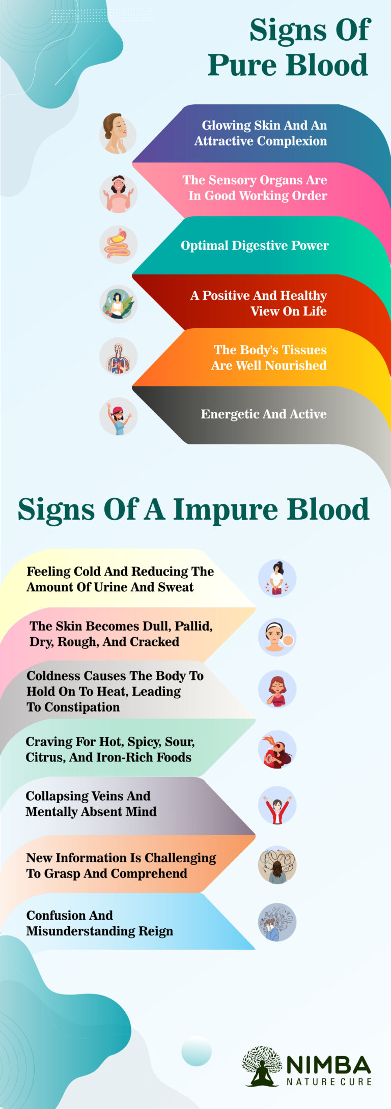 How to Purify Blood Naturally | Blood Purifier in Human Body | Nimba ...